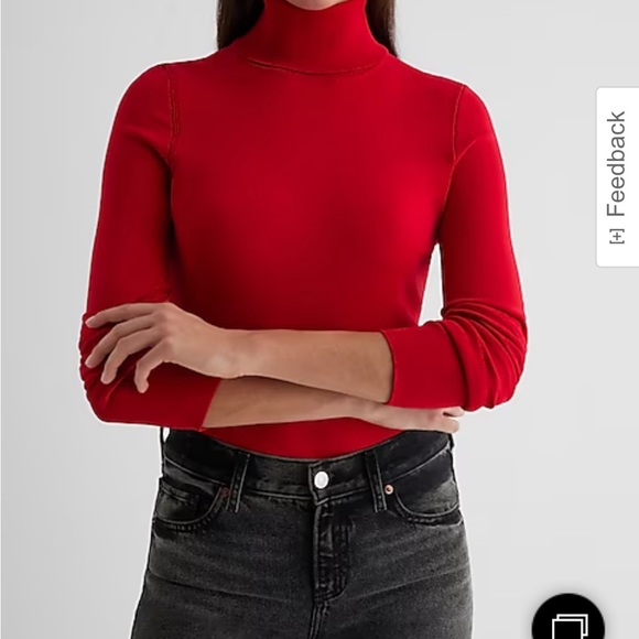 Express | Sweaters | Bnwt Express Silky Soft Fitted Turtleneck Sweater ...